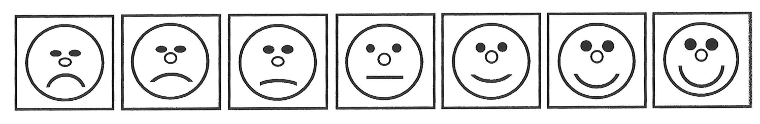 Smiley Face Scales – Am I Happy? Is it Yummy? – Brilliant Reflections ...